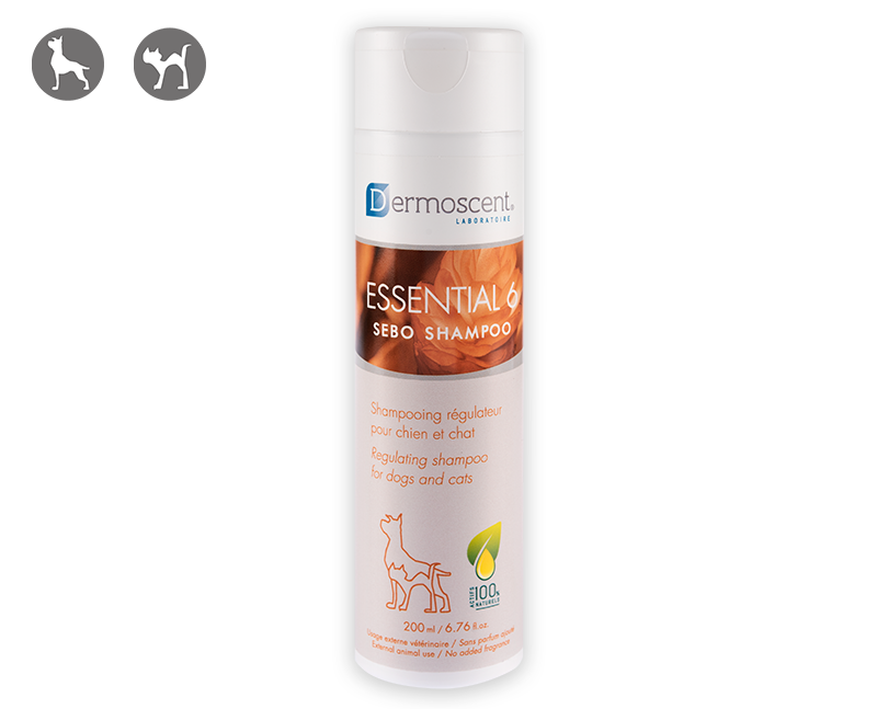 Essential 6® Sebo Shampoo